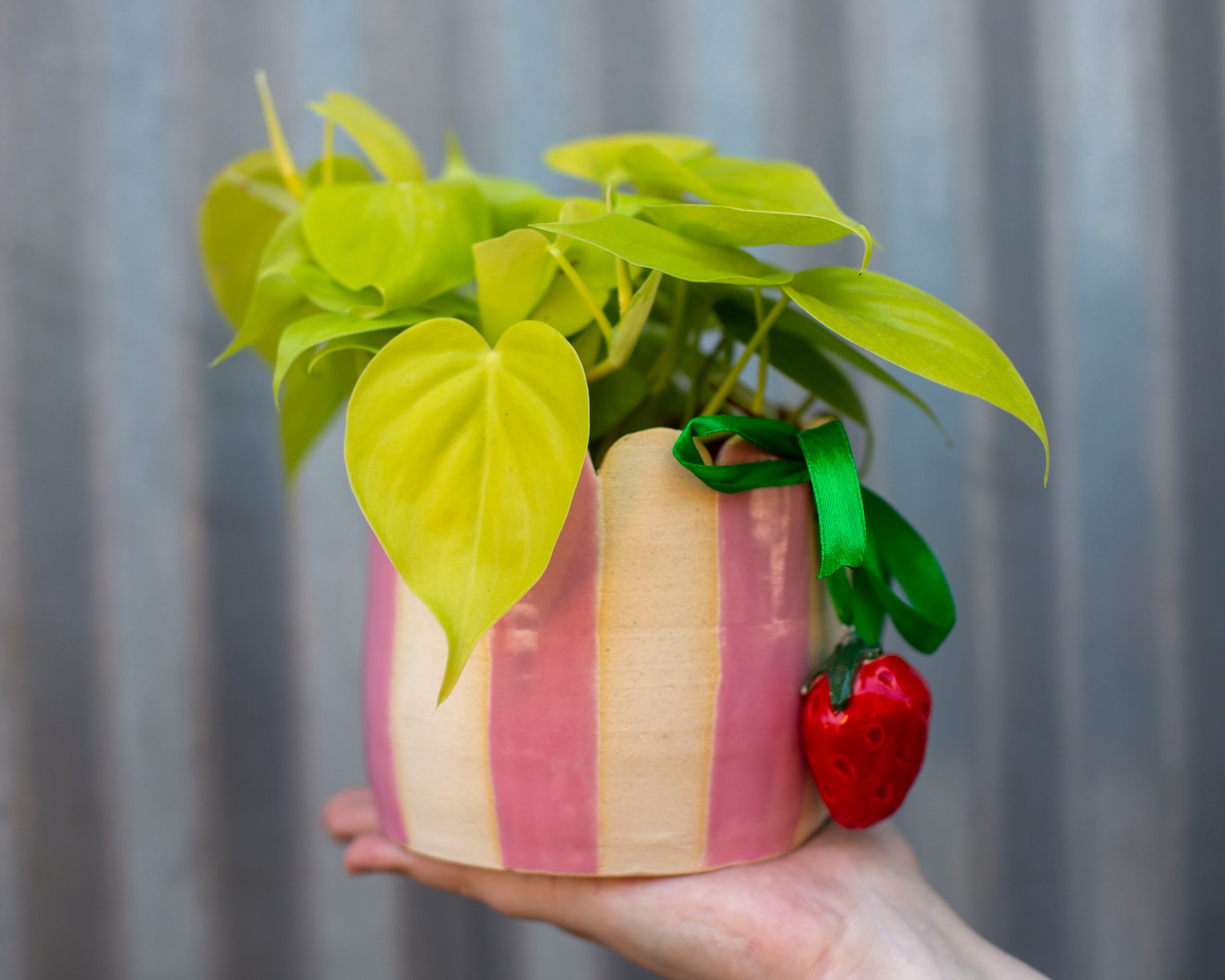 Charmed Neon Scallop Pot | Prop House Plants