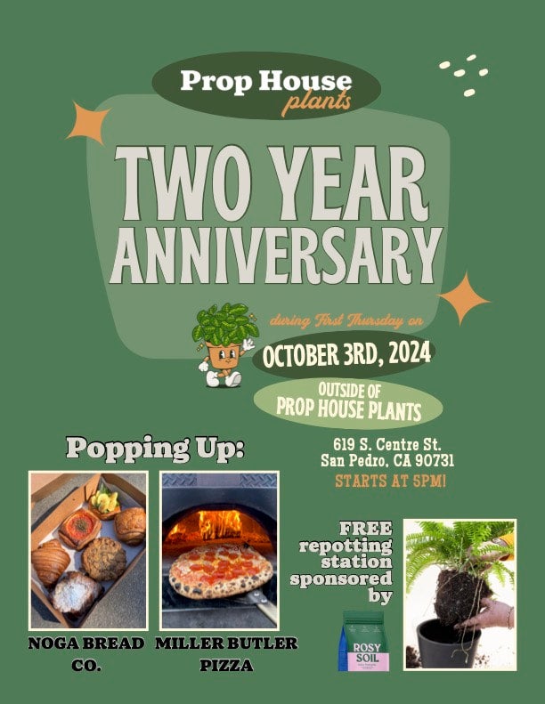 Prop House Turns 2! | Prop House Plants