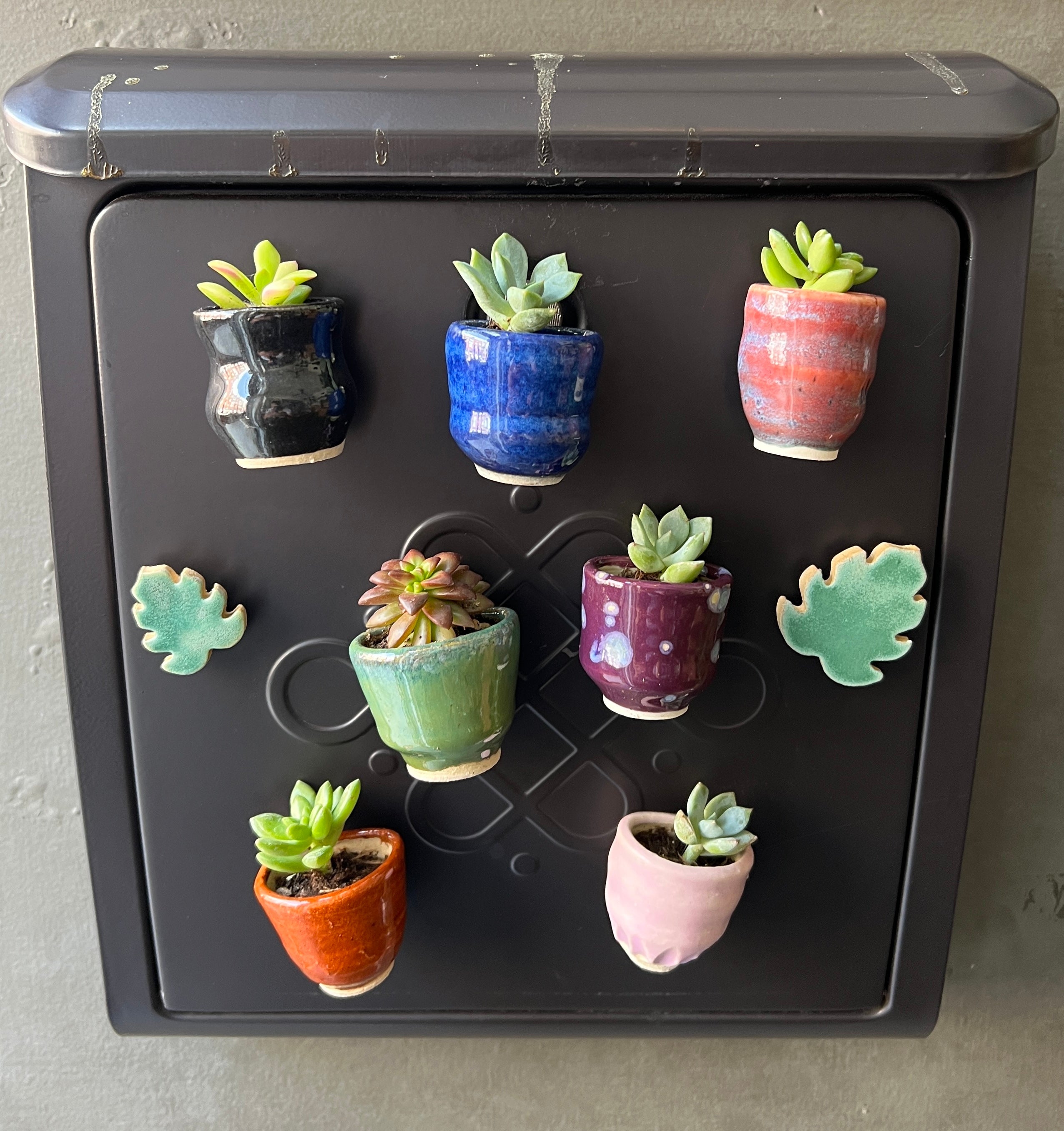 Mini Plant Magnet (with Real Plant!) | Prop House Plants