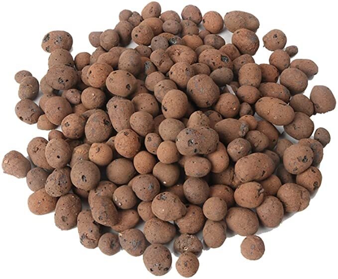 (1L) LECA Growing Medium | Prop House Plants