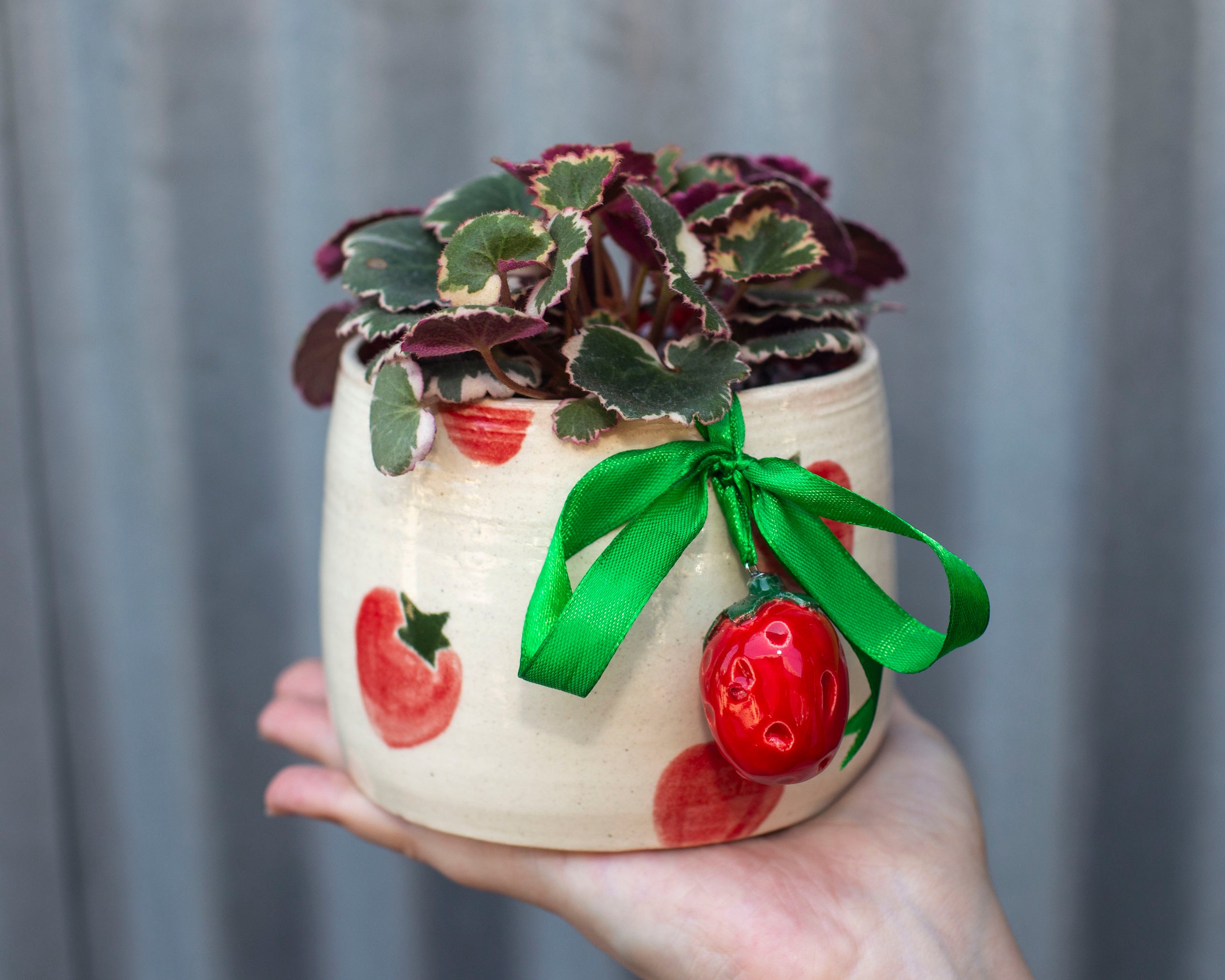 Charmed Strawberry Print Pot | Prop House Plants